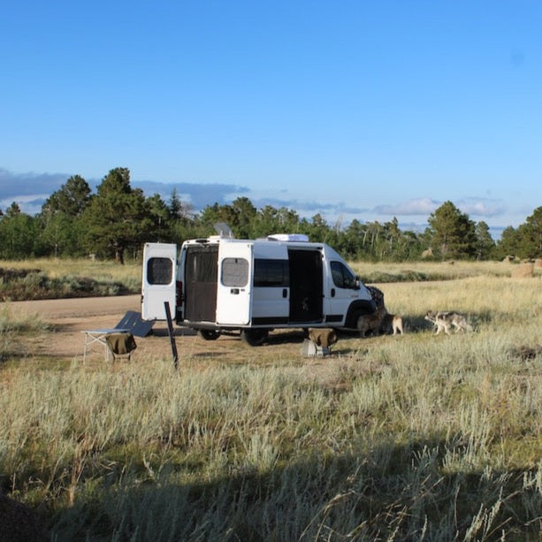 VanEssential Ram ProMaster Sliding Door Bug Screen – Campervan HQ